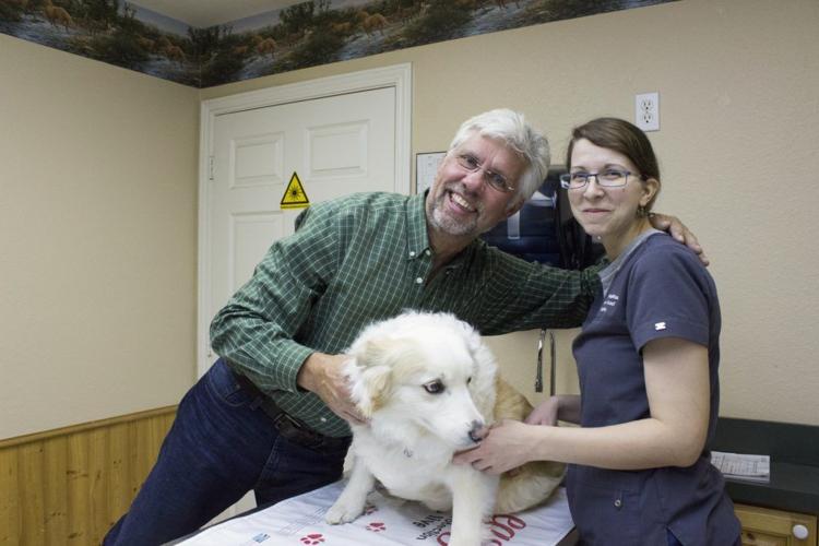 Denton veterinarian Lynn Stucky vies for Texas House seat | News ...