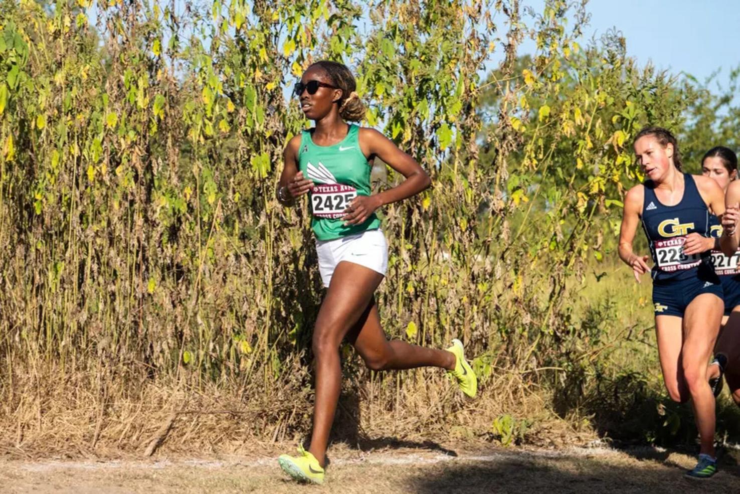 North Texas cross country builds up momentum at American Athletic ...