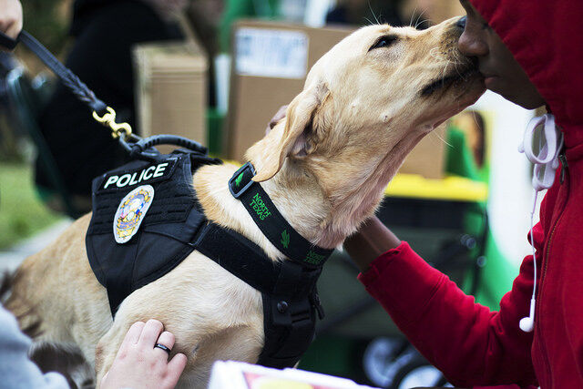 UNT police department introduces its new "sheruff" in town | Arts ...