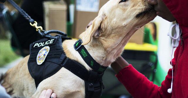 UNT police department introduces its new "sheruff" in town | Arts ...