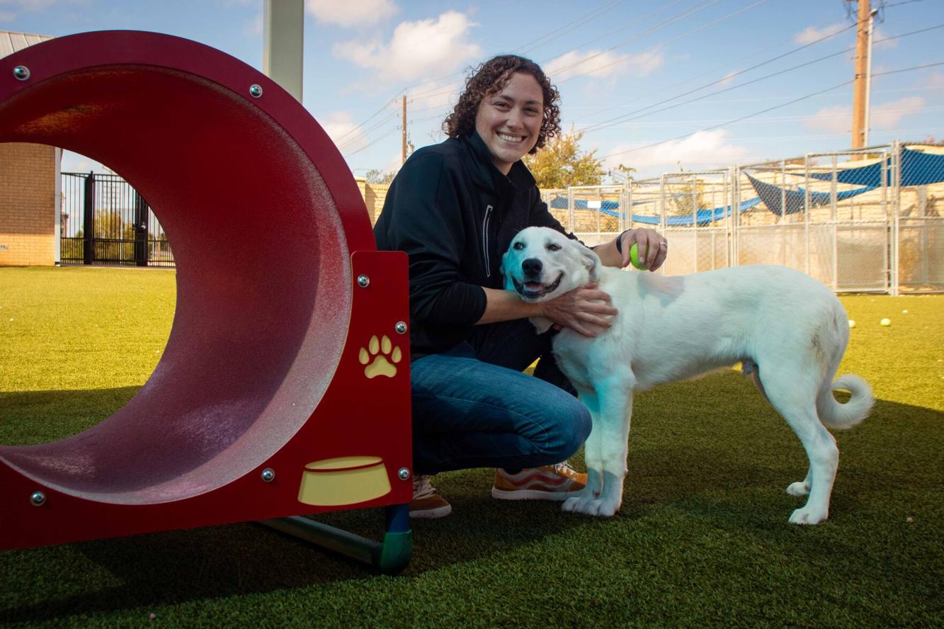 New director steps in at Denton Department of Animal Services | News ...