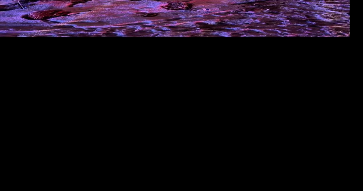 Fire departments extinguish Merrillville house fire; family temporarily ...