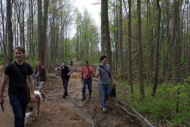 Foraging in the Michigan wild, somewhere near Wyncroft