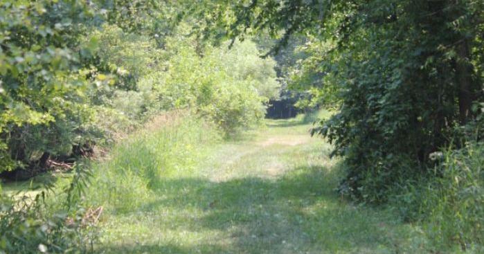 Grand Kankakee Marsh: 2,000 acres provide walkers long trails and ...