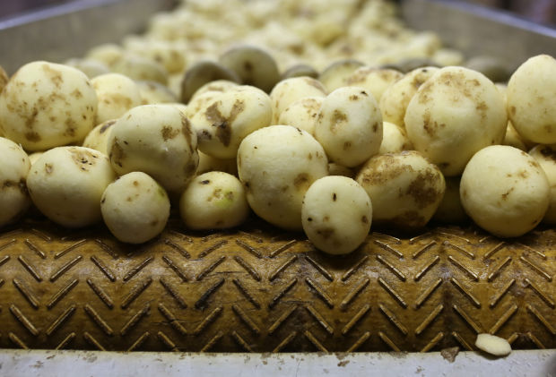 Peerless Potato Chips' manufacturing equipment up for sale