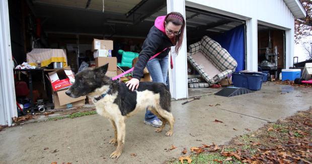 Authorities raid dog rescue site near Lowell; charges likely