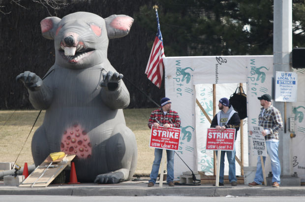 Scabby the Rat protected by First Amendment, National Labor Relations ...
