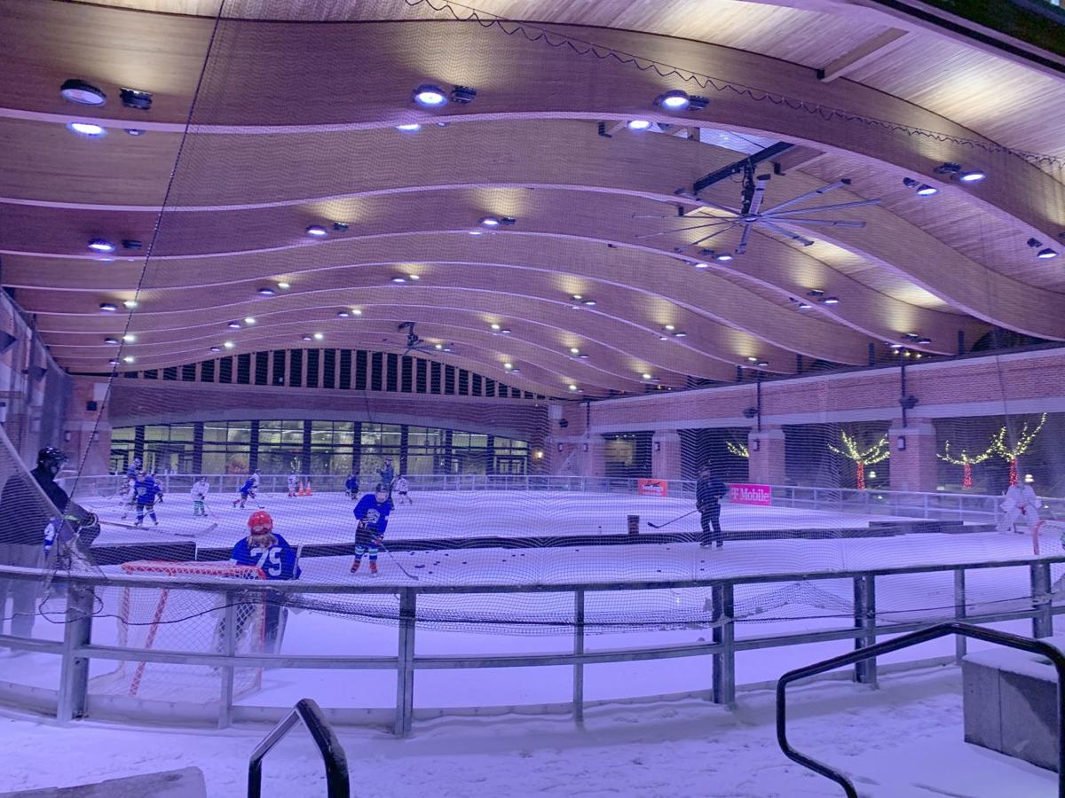 Ice hockey facility could be in Valpo’s future as city sets new goals ...