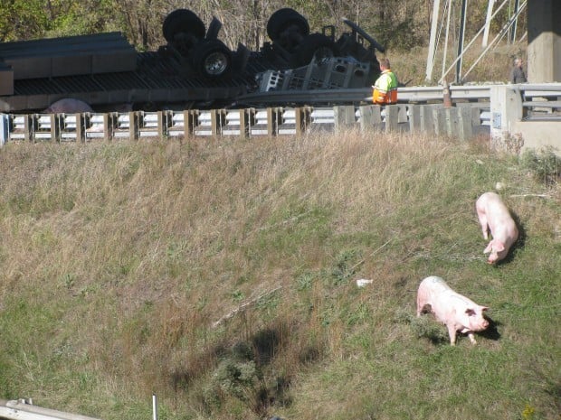 Hog truck overturns in Lake Station onto ramp to Indiana Toll Road