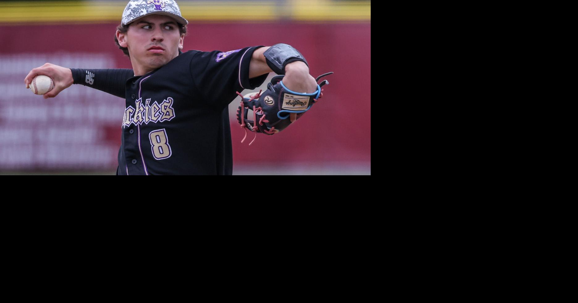 PHOTOS: Andrean hosts Hobart in baseball on Tuesday
