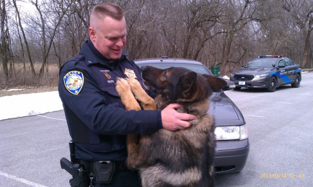 Thornton canine officer receives vest through donations