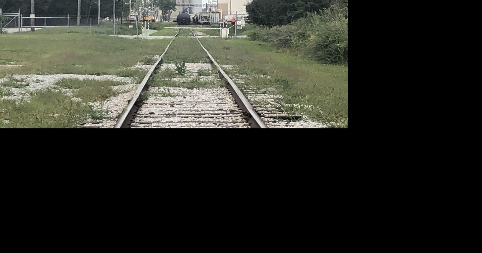 Cargill launches new dog treat brand