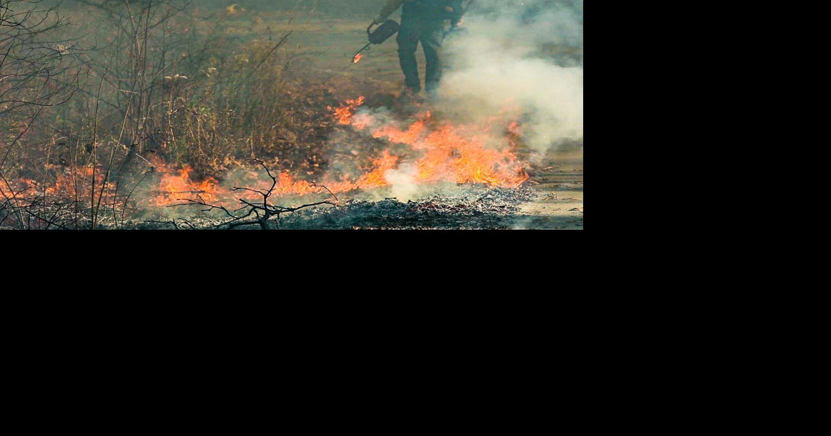 Cleansing the earth with fire: Why wildland firefighters set flame to ...