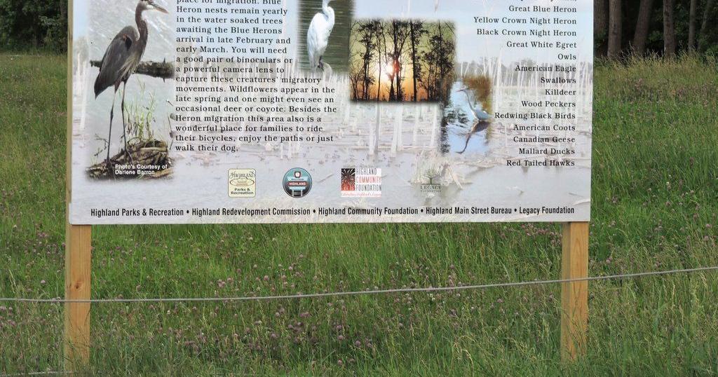 Highland Heron Rookery attracts majestic birds and visitors