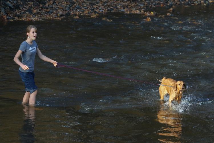 Deep River Park outings