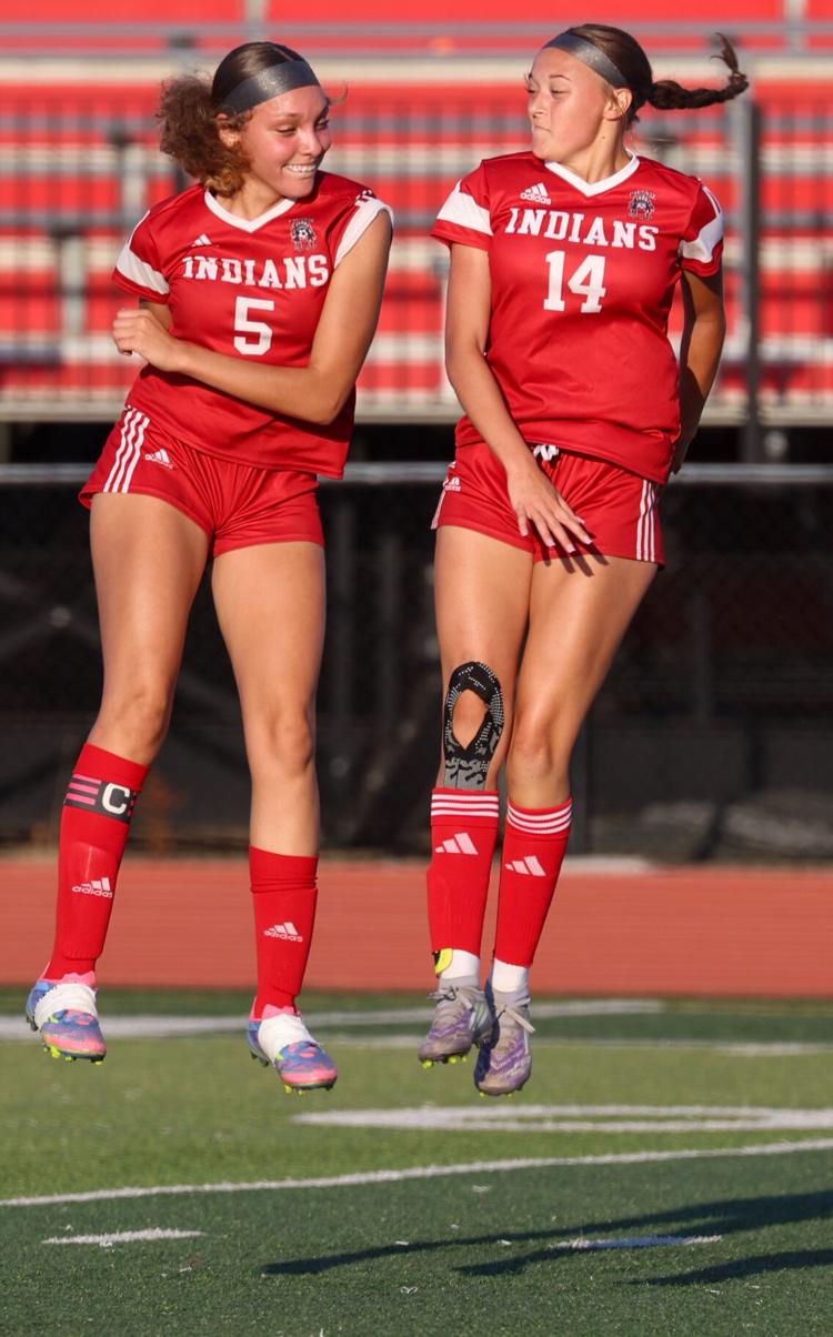 Pedestrian killed in crash on Sheffield Avenue in Dyer