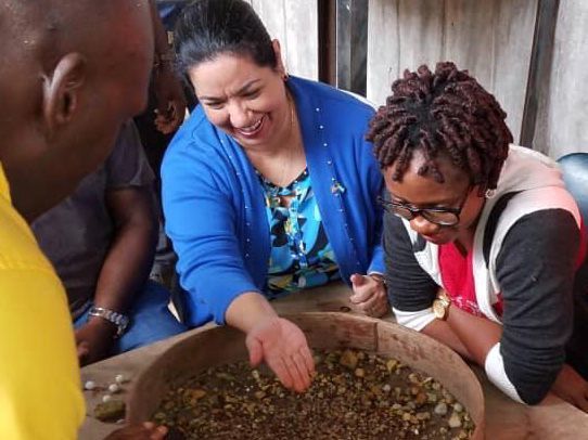 From Portage to Sierra Leone, Brewer reflects on career as U.S. ambassador