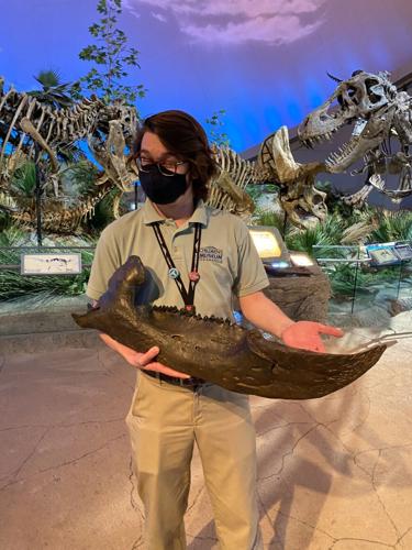 An exhibit of jurassic proportions: Children's Museum of Indianapolis ...