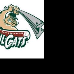 Meet the 2010 RailCats