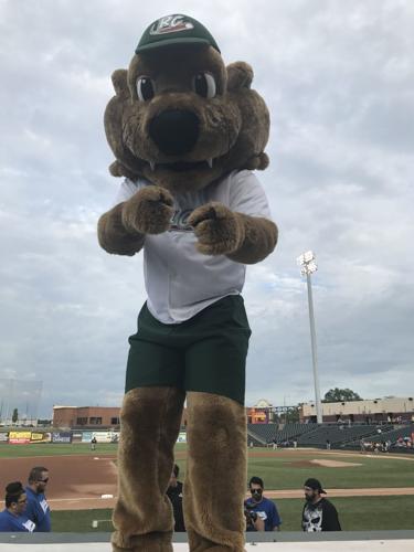 RailCats baseball season kicks off next month