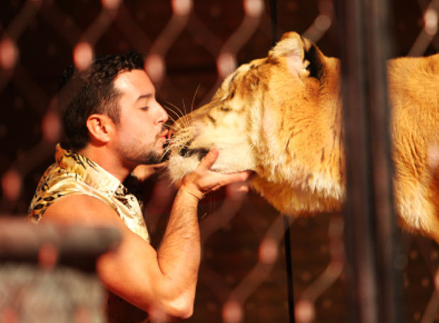 Shrine Circus features animals, 'professional joy instigator'