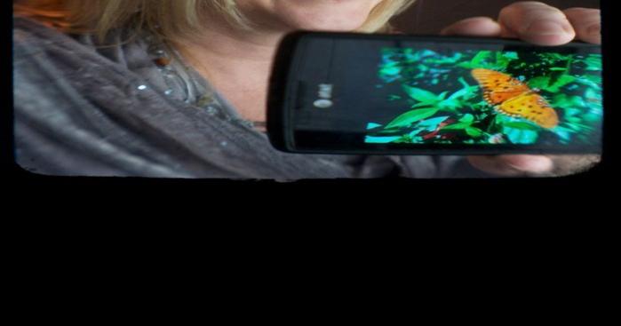 Professionals to Watch: Kathy Sipple