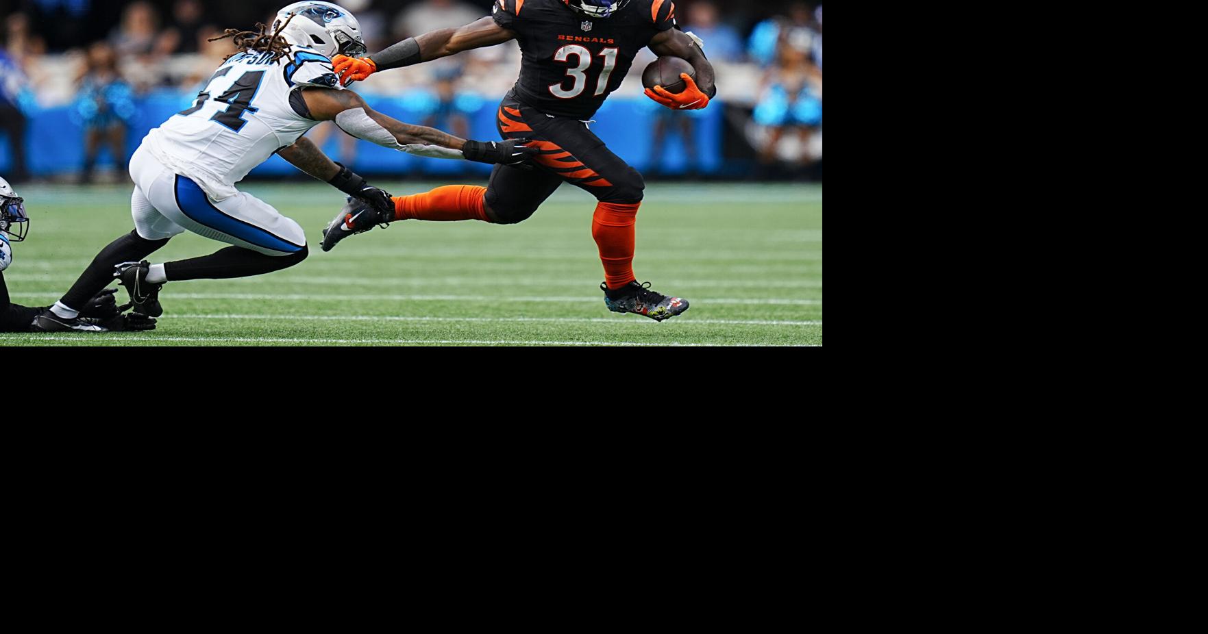 Bengals Panthers Football