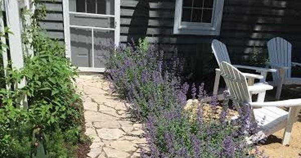 Gardening ideas: Border with Catmint? | Home | nwitimes.com