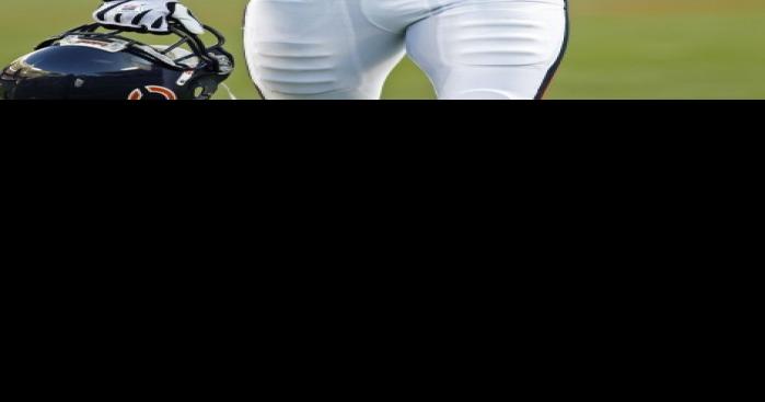 Bears' Craig Steltz gets ringing endorsement from teammates