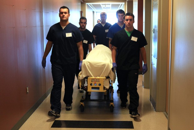 Cadaver imaging shines light on anatomy