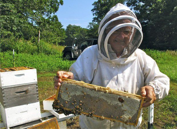 Beekeepers protect hives from pesticide amid virus fight
