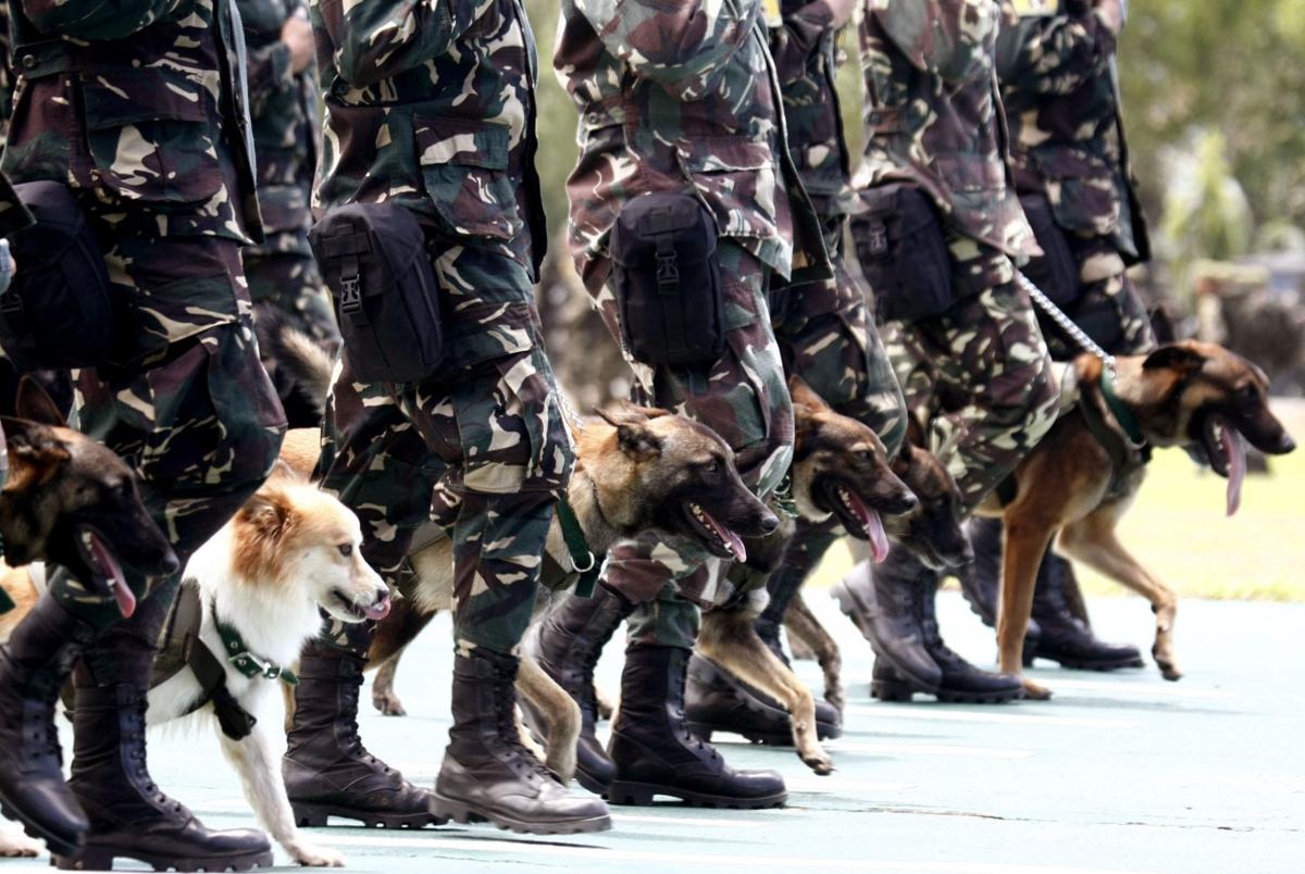 Gallery: K-9 Corp Dogs