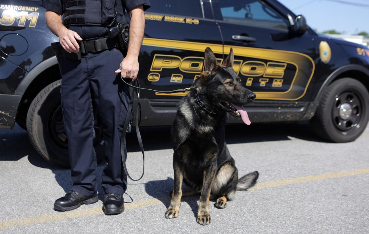 On the job: Police Cpl. Robert Gutierrez, K-9 officer | Northwest ...
