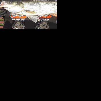 Timothy J. Ribble, Ph.D.