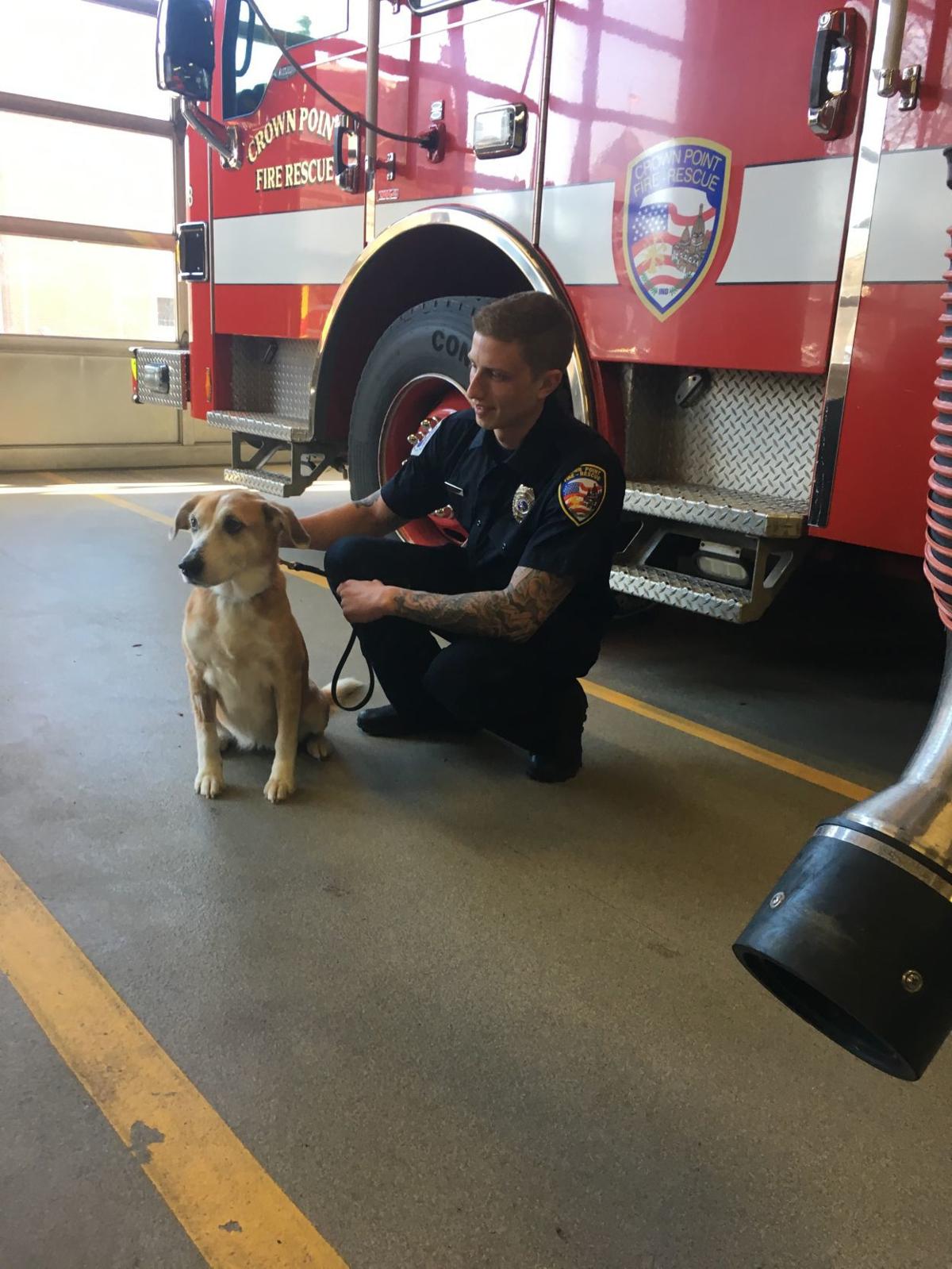 VIDEO: Crown Point firefighters rescue dog that fell into frozen pond ...