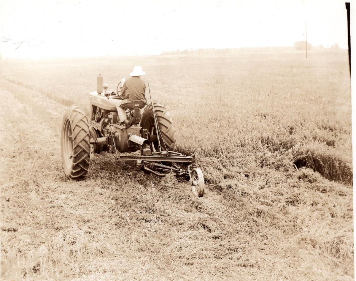 Throwback Thursday: Gallery: Farming in the 1940s | Photos and Videos ...