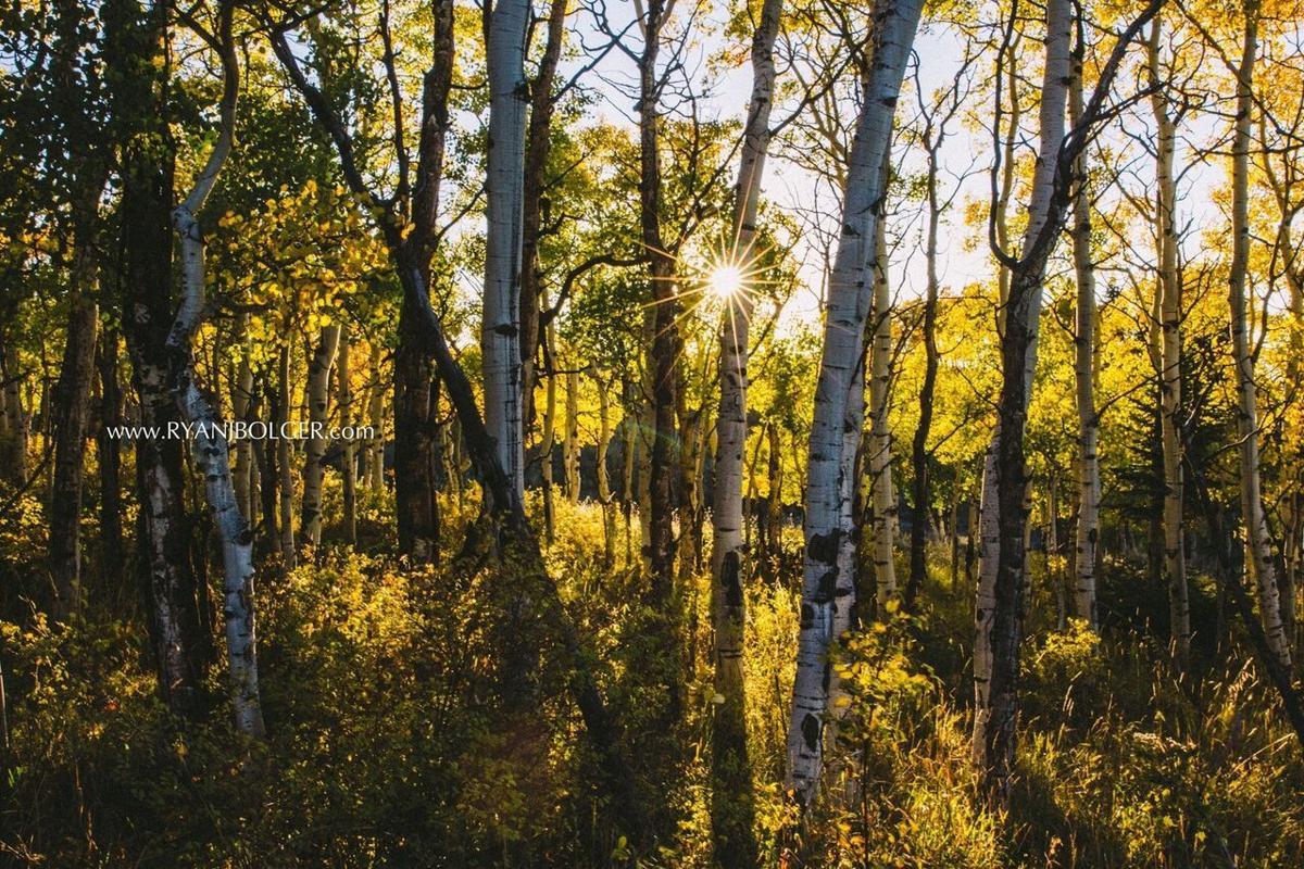 GALLERY: Ryan Bolger Portfolio | Entertainment Photo Galleries ...