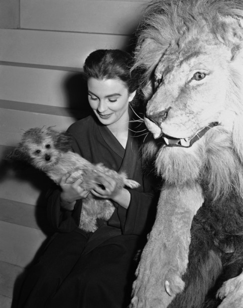 OFFBEAT: Actress Jean Simmons, who boasted long and varied career, dead ...
