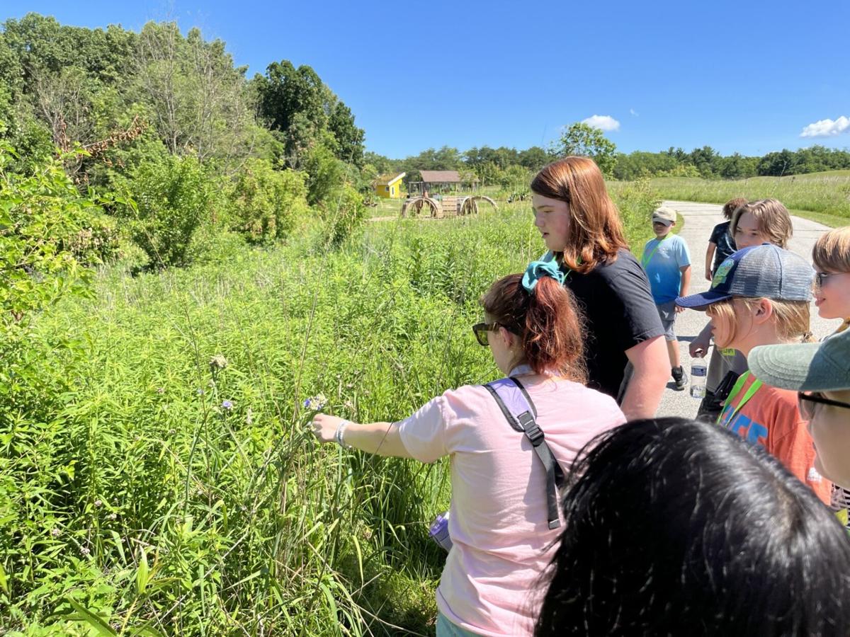 PNW summer camp looks to connect STEM with nature