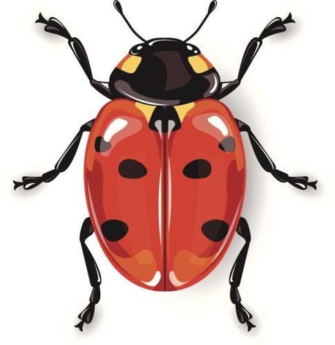 60-Something: The Uncanny Valley of Discombobulation