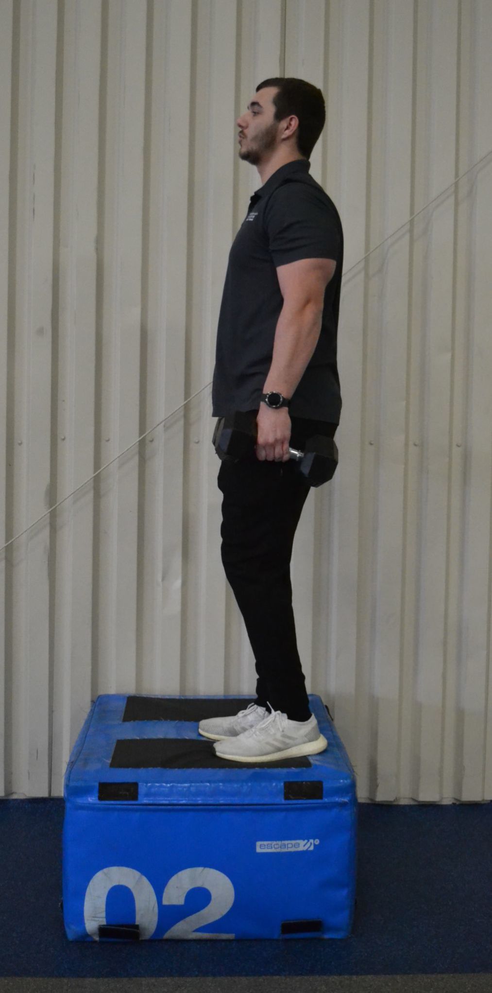 THIS WEEK'S EXERCISE: Weighted step ups | Fitness | nwitimes.com