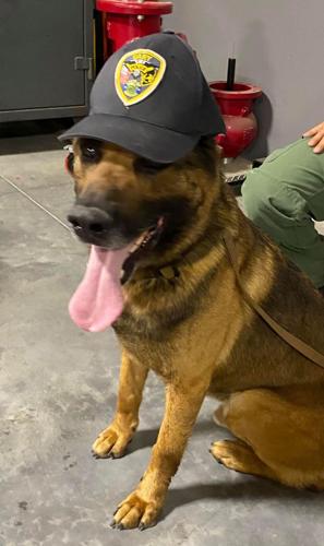 Vested Interest in K9s works to keep 4-legged officers safe