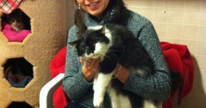 PUC prof volunteers her time to care for cats