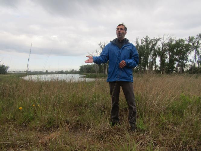 Seidner Dune and Swale a conservation success story: 'This is a ...