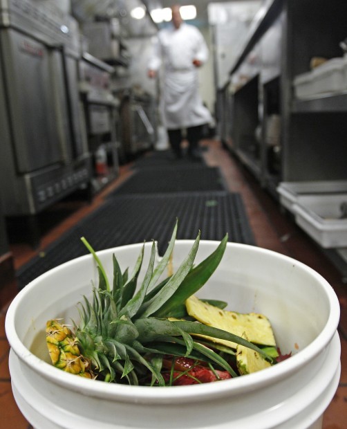 Japanese composting may be new food waste solution | Home & Garden ...