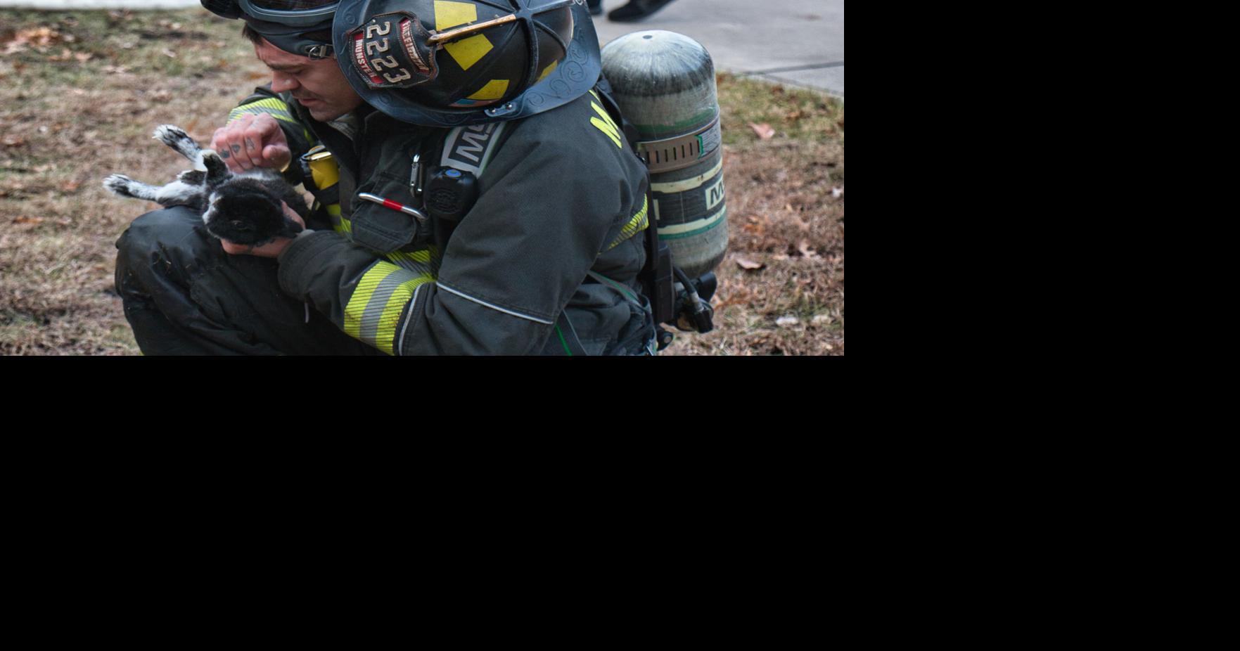 Munster firefighters rescue rabbit from house fire, save its life with CPR
