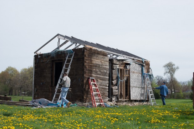 Linden log cabin ready for resurrection