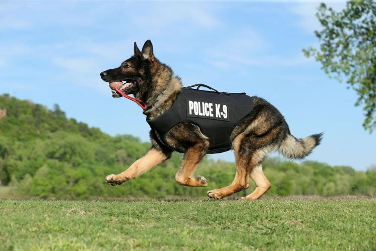 Vested Interest in K9s works to keep 4-legged officers safe