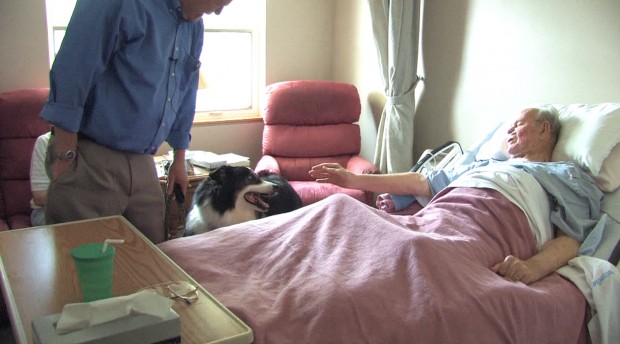 Pets offer comfort to hospice patients, families