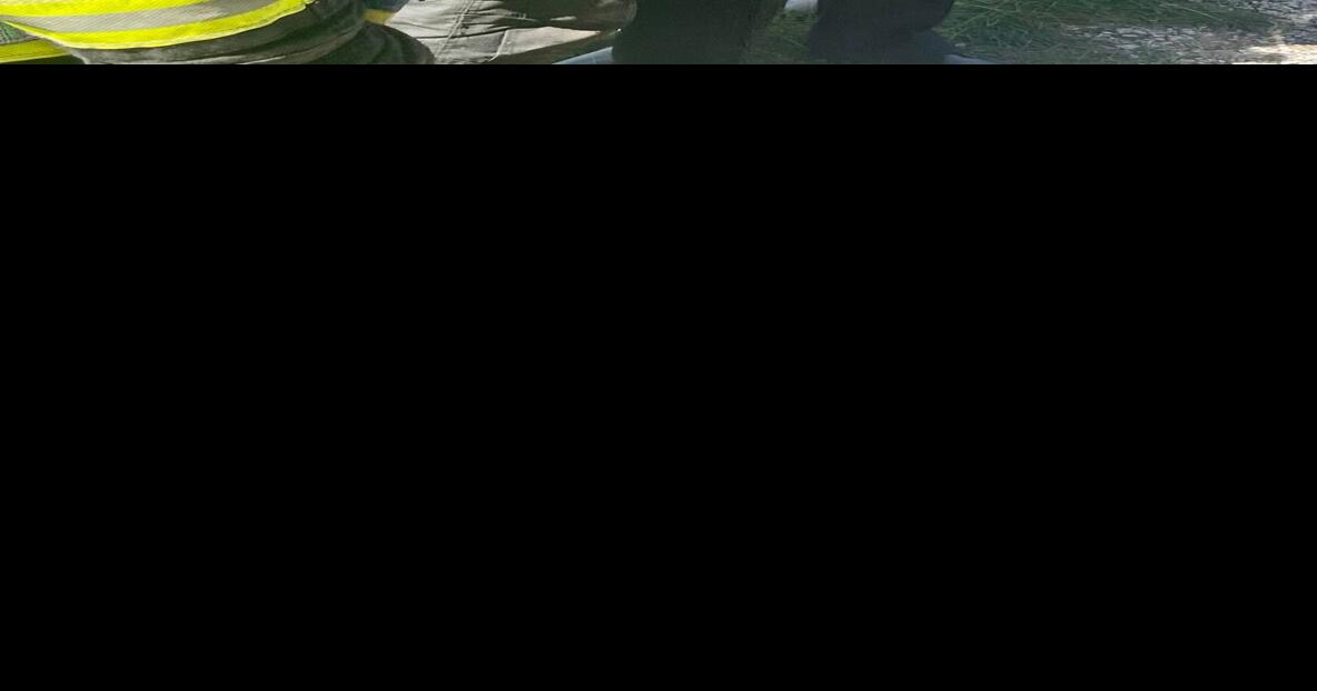 Firefighters rescue dogs caught in Region house fire